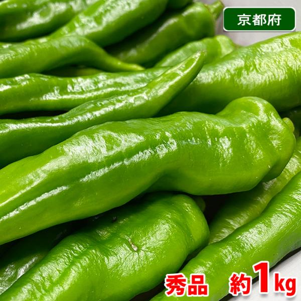 果肉は大きくて分厚く、柔らかく甘味があり、種が少なく食べやすいです。京都府のブランド産品として認められている『万願寺甘とう』は、肉厚で食べ応えのあるその大きさと深みのあるその味わいで、京都の伝統野菜の一つとして自信を持ってお薦めの出来る逸品です。