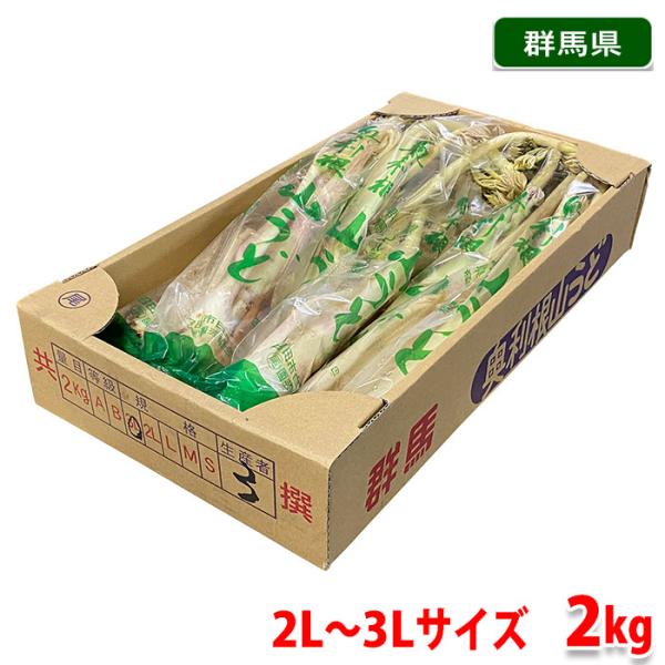 日光を浴びて育った春の山菜「緑化うど（山うど）」。ほのかな甘みと苦み、しゃきしゃきした歯ごたえがあり、一般的にあく抜きして天ぷらやきんぴらなどに調理されます。※入荷状況により群馬・秋田・和歌山・茨城・兵庫など、他産地に変更になる場合がござい...