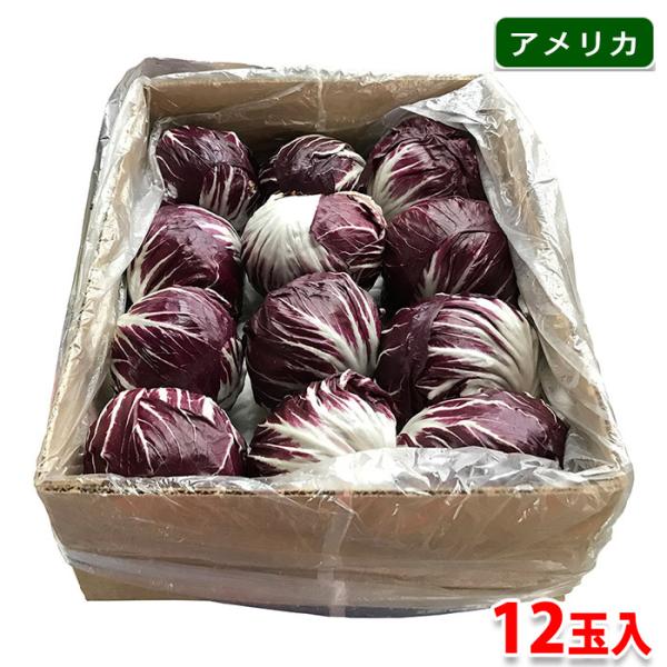 トレビスはヨーロッパ（イタリア）原産のチコリと同じ品種の野菜。比較的新しく流通してきた野菜なので、国産のものは少なく、多くはアメリカなどから輸入されたものです。トレビーズ、レットチコリ、赤芽チコリなどともよばれ、国内で流通しているのは結球し...