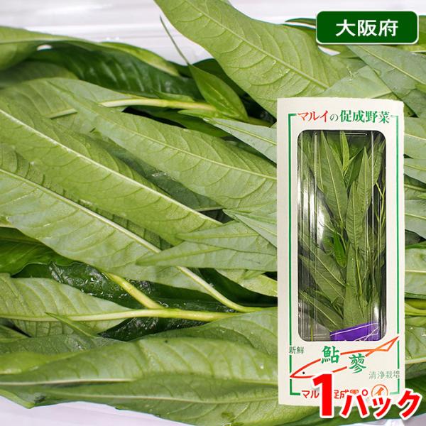 蓼（柳蓼）は、水田や水湿地に生える一年草です。特有の爽やかな匂いがあり、噛むと辛みがあります。この柳蓼の若葉（笹蓼）は、魚の生臭みを消し殺菌効果もあるため、薬味として鮎料理によく使われることから「鮎蓼（あゆたで）」と呼ばれています。また、鮎...