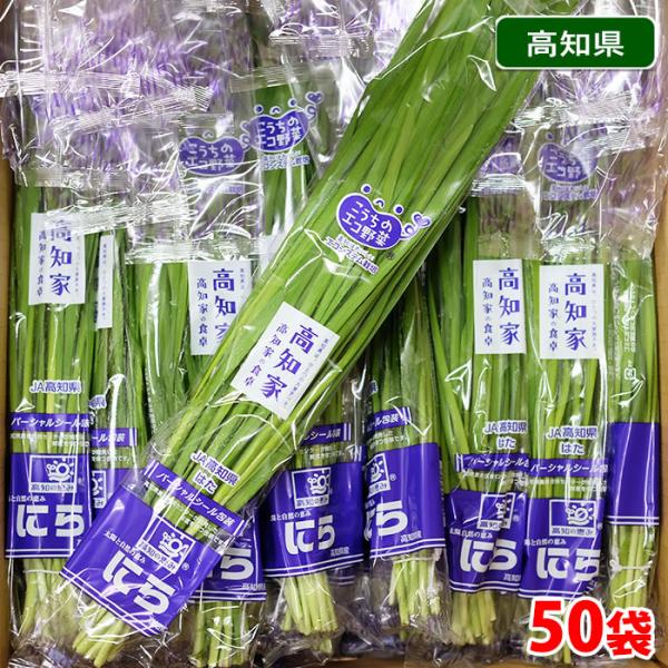 高知県は、にら（ニラ・韮）の生産量全国トップ。流通するニラのおよそ4分の1が高知県産です。ハウス栽培と露地栽培を行うことで通年出荷されています。肉厚でやわらかく、強い香りとシャキシャキの食感があり、炒め物、もつ鍋などにおすすめ！※入荷状況に...