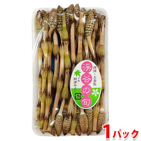 春の到来を感じさせてくれる山菜の一つ、つくし（土筆）です。袴（ハカマ）を取って、アク抜きをして調理してください。お浸し・佃煮・キンピラ・卵とじなど、様々なお料理にお使いいただけます。添え物としてもオススメです。※入荷時期により徳島県・静岡県...