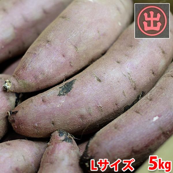 新しいさつまいも品種「栗かぐや（くりかぐや）」です。ホクホクした食感で、かつ甘みが強いのが特徴です。焼き芋におすすめです。「栗かぐや）」の肉色は鮮やかな黄色で、貯蔵性に優れています。形はなだらかな紡錘形で、近年人気のねっとり系とは一線を画す...