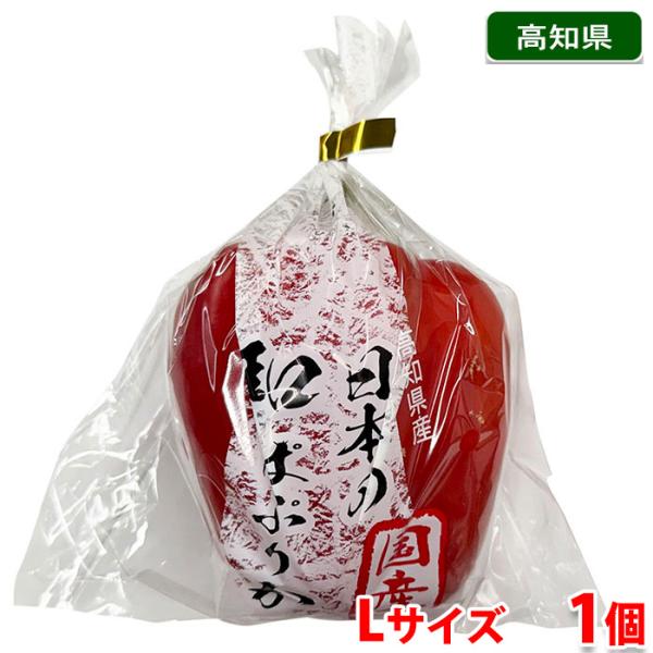 高知県、特に四万十地域を含む県内は、温暖な気候と日照量を活かした肉厚で甘みの強いパプリカの産地です。生でもサラダやマリネでシャキッとした食感が楽しめるほか、加熱するととろっとしたコクが出ます。 【四万十・高知の和ぱぷりかの特徴】肉厚でジュー...
