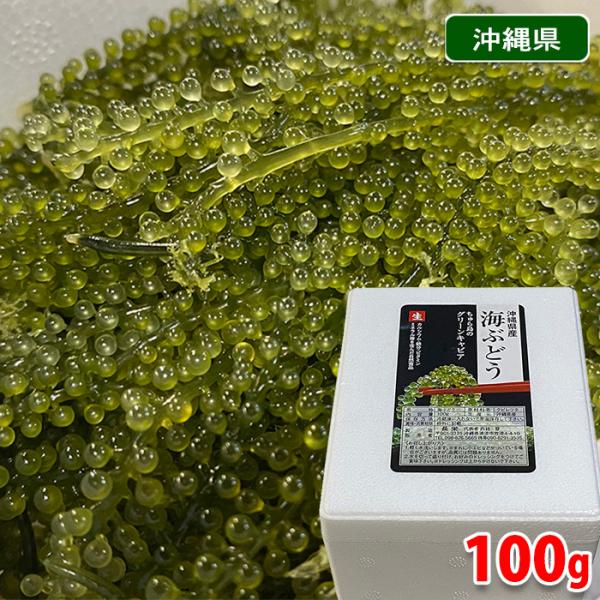 グリーンキャビアとも呼ばれる、沖縄の特産、海ぶどうです。プチプチ食感が心地よい、海藻の一種。プチプチ部分が多い良品をお届けします。※エアー便で産地から入荷してきます。賞味期限が短い商品ですので、到着後、すぐにお召し上がりください。