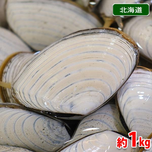 白貝（シロガイ）は、「サラガイ」とも呼ばれ、主に北海道で水揚げされます。二枚貝で、殻が白く平べったいのが特徴で、アサリやハマグリに似た濃厚な旨味がありつつ、クセがなくて上品な甘みと旨味があります。酒蒸し、焼き物、味噌汁、バターソテー、パスタ...