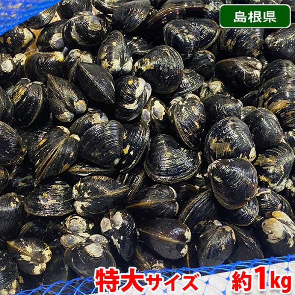 宍道湖で育まれた「大和しじみ」は、大粒で存在感のある特大サイズが特徴。宍道湖は、日本三大しじみの産地の一つとして知られており、そこで漁獲されるしじみは、どれも一粒一粒が大きく、食べ応えがあります。このしじみを用いたお味噌汁は、まさに贅沢な一...