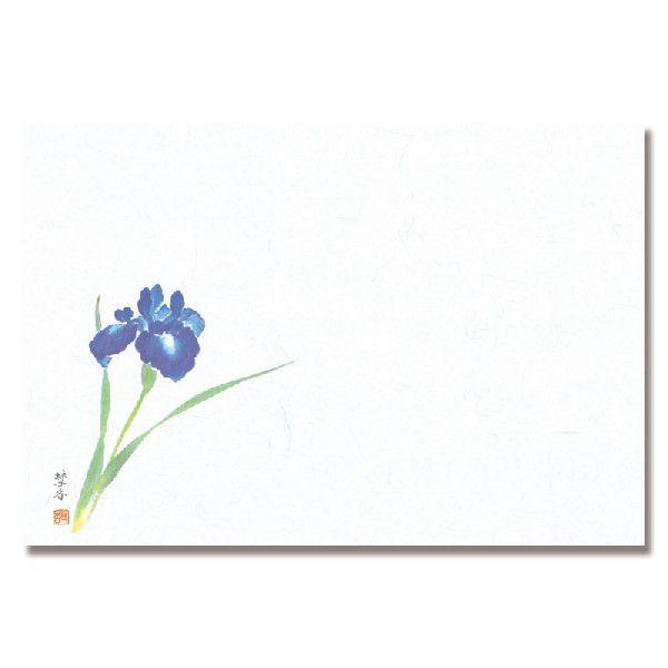 ●メーカー名：長井紙業株式会社●JANコード：4546848401105●備考：265×390mm　100枚○四季折々の花・木等の題材を多色刷で表現しました。○日本的情緒を感じさせる落ち着いた雰囲気は、食前を優雅に彩ります。○5月〜6月にお...