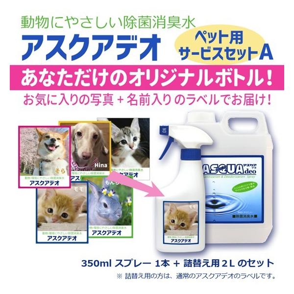 ◆写真の送り方◆●1）ご注文後に「問い合わせ（質問する）」よりご連絡ください。1回目の投稿では画像を送付できないシステムになっていますので、まず「〇〇です。写真を送ります」等、一言ご投稿ください。※「問い合わせページ」へは以下の４通りからア...