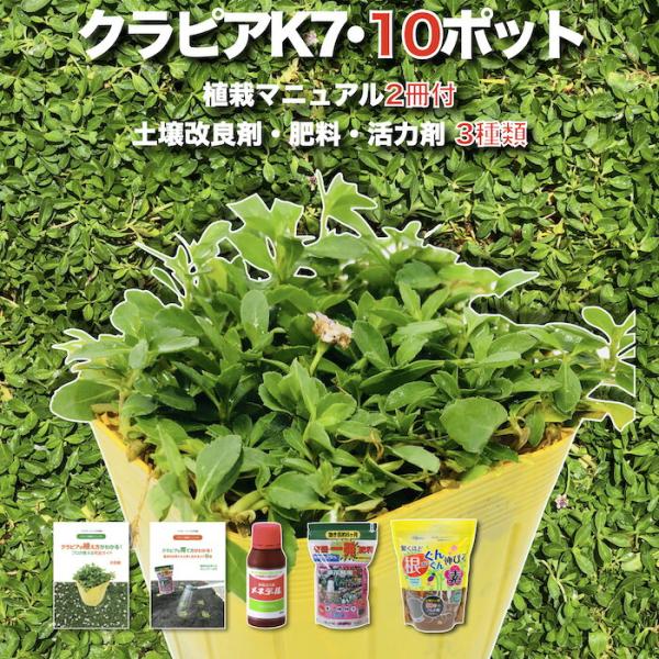 【レビュー特典は肥料100ｇ】※レビューは商品到着後にご投稿ください。【クラピア】：K7（白） 9cmポット 10株【ポット色】：黒または黄【肥料】：有機入り一発果菜肥料 100g【活力剤】：メネデール 100ml【土壌改良剤】：根がぐんぐ...