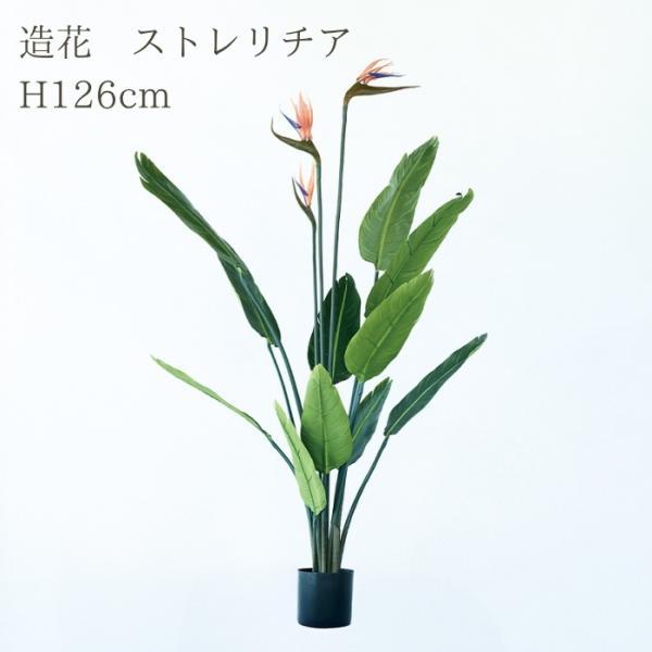 本物そっくりの大型アーティフィシャルグリーン、ストレリチア。全高約126cmの堂々とした一鉢で、水やり、植え替え、剪定の手入れが一切不要。日当たりのない室内でも枯れず色あせず、飾ったその日の美しい姿がずっと続きます。オフィスの受付やエントラ...