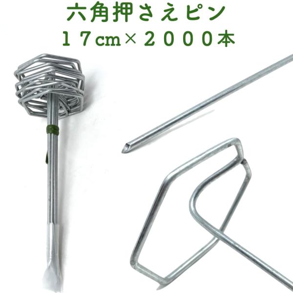 【製品情報】長さ：１７ｃｍ太さ： ３mm入数：２０００本入り材質：鉄製【ピンを打ち込む数の目安】長辺上部： 50ｃｍ間隔長辺下部： 50ｃｍ間隔中央部　：100ｃｍ間隔短辺両端： 25ｃｍ間隔（例）幅1ｍ×長さ10ｍのシートに押さえピンを打...