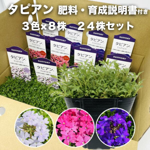 【お届けについて】こちらの商品は、3月11日以降お届けの予約商品です。お届けご希望日は、備考欄に火曜日から日曜日の間でご希望日をご指定ください。レビュー投稿特典は「レビューご投稿後、3週間程度で発送」となります。商品到着後にぜひご投稿くださ...