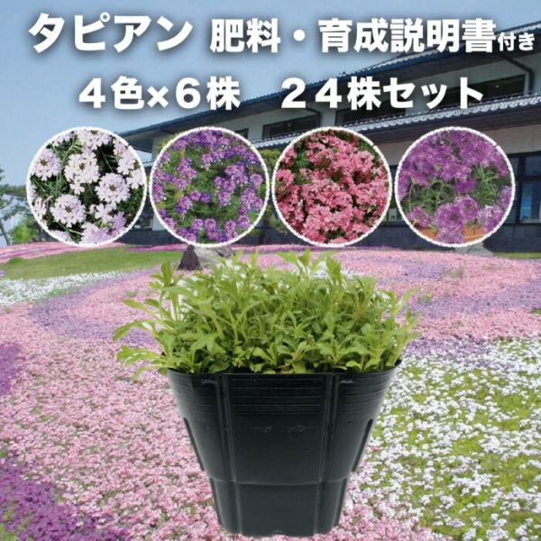 【お届けについて】こちらの商品は、3月11日以降お届けの予約商品です。お届けご希望日は、備考欄に火曜日から日曜日の間でご希望日をご指定ください。レビュー投稿特典は「レビューご投稿後、3週間程度で発送」となります。商品到着後にぜひご投稿くださ...