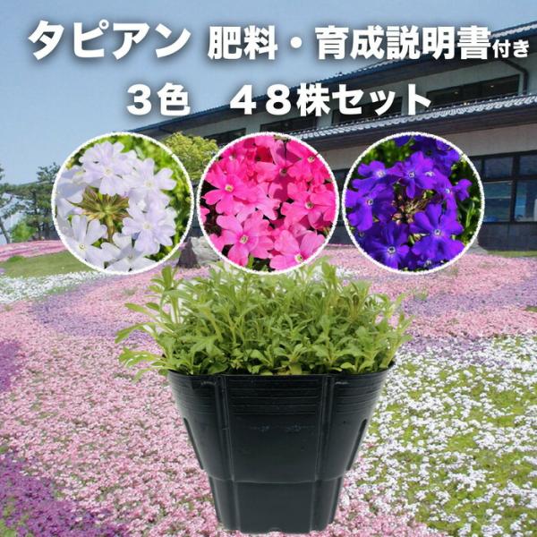 【お届けについて】こちらの商品は、3月11日以降お届けの予約商品です。お届け希望日は、備考欄に火曜から日曜の間でご記載ください。レビュー投稿特典は「レビューご投稿後、3週間程度で発送」となります。商品到着後にぜひご投稿ください。【予約特典】...