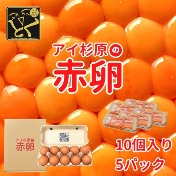 10人中9人がもう一度買ってしまう生卵。99.9％割れずに届く安心感。黄味の旨みが、お口いっぱいとろーり広がる！美味しい低コレステロール「たまごかけ御飯」を毎朝お楽しみください。