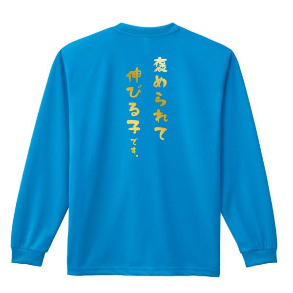 【発売日：2017年04月01日】