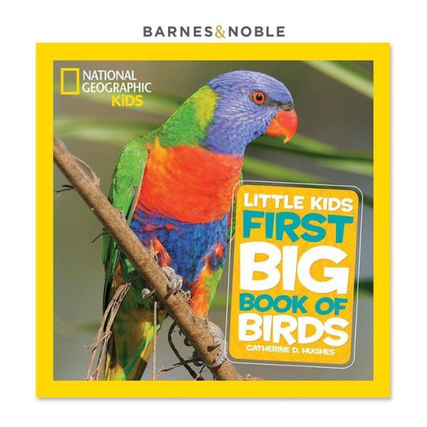 ※メーカーによりデザイン、成分内容等に変更がある場合がございます。▼サイズ約25.1cm (w) x 25.4cm (h) x 1.5cm (d)▼著者Catherine D. Hughes (キャサリン・D・ヒューズ)▼ご注意・詳しくはメ...