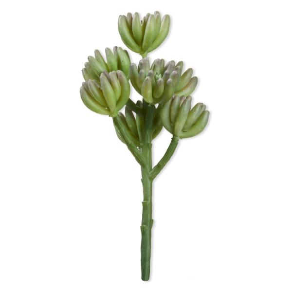 グリーンの人工多肉植物ピック1本入り。茎の中に丈夫で曲げられるワイヤーが入っており、フローラルフォーム、花瓶、リースフォームなどに簡単にアレンジできます。他の人工多肉植物ピックと組み合わせて、ボリュームのあるアレンジも楽しめます。