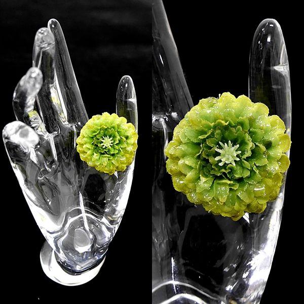 ピンブローチ レディース メンズ ベルト ラペルピンmade in japan に拘ったオリジナル アクセサリー グッズ　　　　　　　- PROUD SelectStyle -