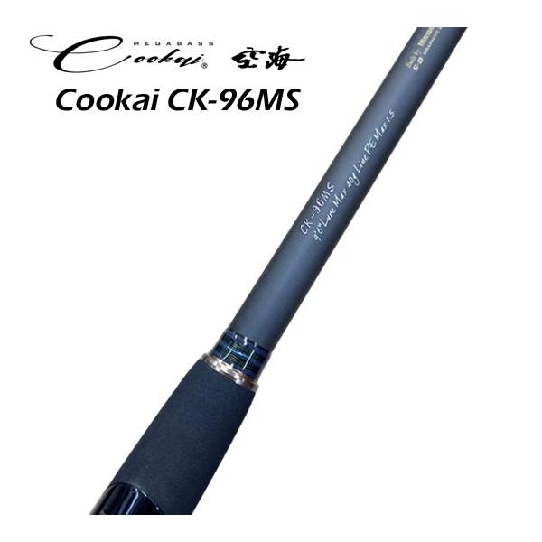 LENGTH:9’6”　2ピースLURE：〜40ｇLINE：〜1.5PE大規模河川や、河口部、サーフなどのオープンエリアプラッギングに好適なミドルシャフトとして、適切なシャフトテンションとしなやかさをあわせ持つブランクは、バイブレーションや...