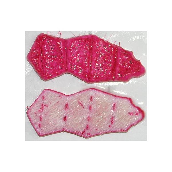 ポーク ルアー TSUCHINOKO ツチノコ WEEDsSpirits75mm 3個入り ポーク