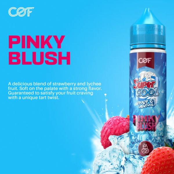 マレーシアの発の人気VAPEリキッドブランドCOFことCloudy O Funky（クラウディ オー ファンキー）より、超メンソールが効いたスーパークールシリーズが登場！名前の通り強烈なメンソールと、マレーシア産らしい味の濃さで吸いごたえ抜...