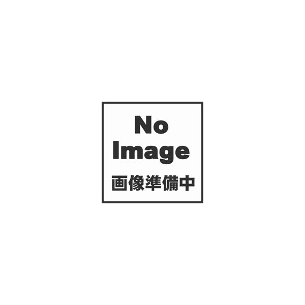 HiKOKI BS30SA、BS30YA用角のみ　30mm（ノミだけ）