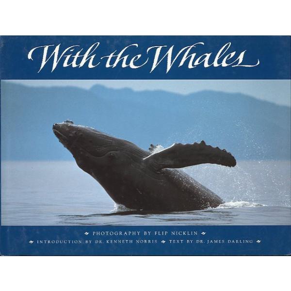 FILIP NICKLIN/JAMES DARLING：著1994年 ・Northword Prサイズ：248×325ｍｍ・159頁状態：表紙スレがあります。お届けは、“ヤマト宅急便”にて発送させていただきます。発送は、ご注文後（土日・祝日...