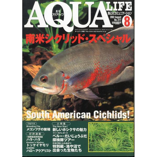マリン企画発行/２００２年８月号/通巻３０６号特集・・南米シクリッド・スペシャル状態：スレがあります。お届けは、書籍のサイズ、重量により発送方法が異なります。当店よりお送りする”承諾メール”にて発送方法をご連絡いたします。なお発送方法のご指...
