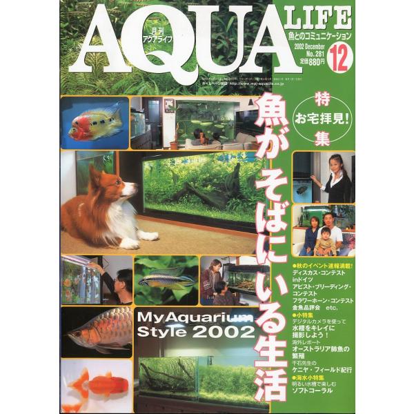 マリン企画発行/２００２年１２月号/通巻３１１号特集・・魚がそばにいる生活状態：スレがあります。お届けは、書籍のサイズ、重量により発送方法が異なります。当店よりお送りする”承諾メール”にて発送方法をご連絡いたします。なお発送方法のご指定はで...