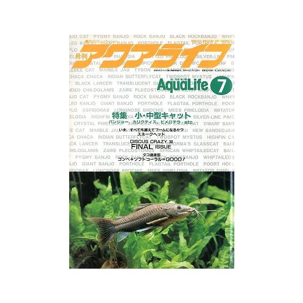 １９８８年７月・通巻１０８号・マリン企画発行特集：小・中型キャットバンジョー、カリクティス、ピメロデラ・・ｅｔｃスネークヘッド状態：スレ、汚れがあります。お届けは、書籍のサイズ、重量により発送方法が異なります。当店よりお送りする”承諾メール...