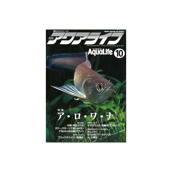 １９９６年１０月号・マリン企画　　通巻２０７号特集・・アロワナぼくらのフィールドツアーｉｎ小網代状態：スレがあります。本体は普通です。お届け方法について“ネコポス”“クリックポスト”“レターパックライト”“レターパックプラス”“クロネコ宅急...