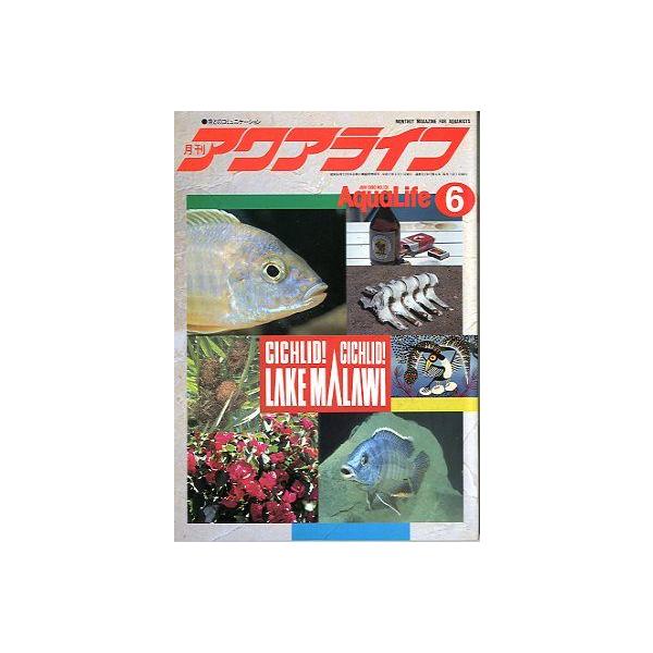 １９９０年６月号・マリン企画　　通巻１３１号ＣＩＣＨＬＩＤ！　ＣＩＣＨＬＩＤ！　ＬＡＫＥ　ＭＡＬＡＷＩ状態：スレ、若干の波うちがあります。お届けは、書籍のサイズ、重量により発送方法が異なります。当店よりお送りする”承諾メール”にて発送方法を...