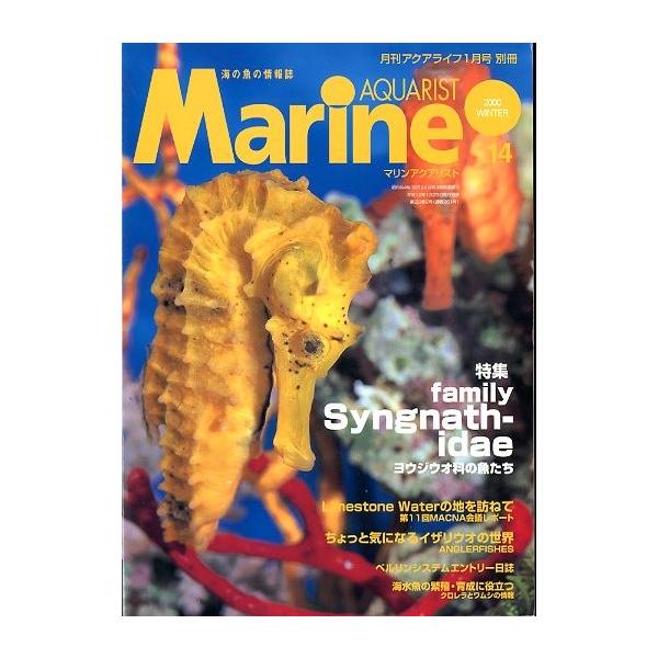 特集：ヨウジウオ科の魚たちちょっと気になるイザリウオの世界２０００年１月・WINTER・マリン企画サイズ：Ａ４・１４４ページ状態：スレが少しあります。お届けは、“ネコポス（ヤマト運輸）ポスト投函””クリックポスト（日本郵便）等にて発送させて...