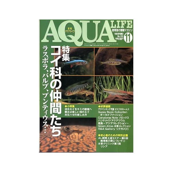 １９９８年１１月号・通巻２３６号・マリン企画発行特集：コイ科の仲間たち・・ラスボラ、バルブ、プンティウス他淡水エイをキミの部屋へ・アナバンチック天国　オスフロ状態：スレがあります。お届けは、書籍のサイズ、重量により発送方法が異なります。当店...