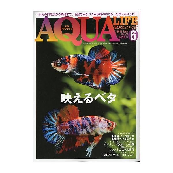 ２０１９年６月・通巻５４６号マリン企画発行映えるベタ今注目！？「万葉」の名を持つメダカたちハイブリッドシュリンプ総覧南米中型カラシン　アノストムスへの招待　他状態：表紙にスレがあります。お届けは、“ネコポス（ヤマト運輸）ポスト投函””クリッ...