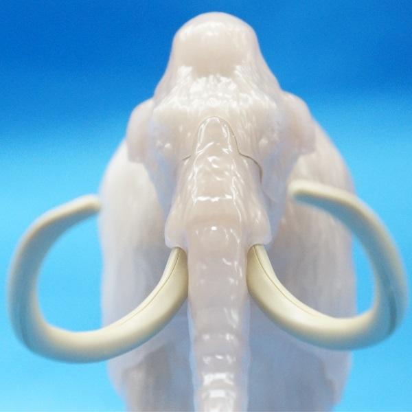 【発売日：2022年02月26日】組み立て式プラスチックキットです、工具等がなくても組立て可能ですが、ゲート跡は処理したほうがより滑らかに仕上がります。対象年齢：15歳以上MADE IN JAPAN新品ですが、店頭併売品のため、箱に傷等ある...