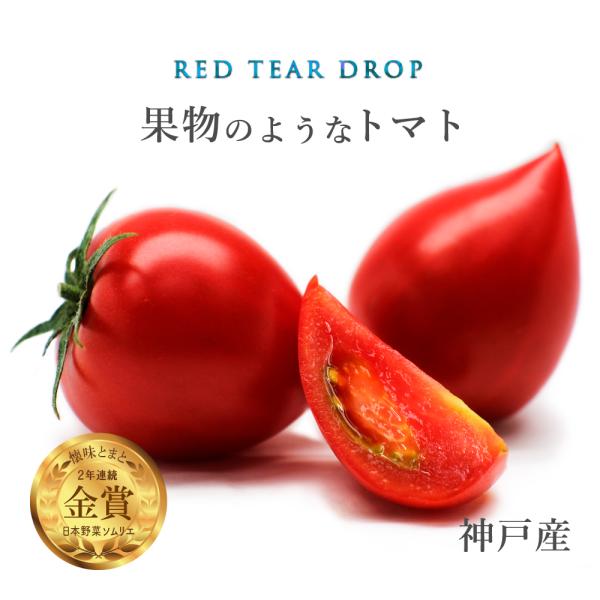 【RED TEAR DROP 〜滴り落ちた赤い雫〜 】芳醇な甘い香り、もはや果物のトマトとしての味 「受け取った方に驚きを与えるギフト」贈り物にフルーツトマトのブランド懐味トマト 神戸 高糖度トマト  塩トマト ブリックスナイン糖度9以上 ...