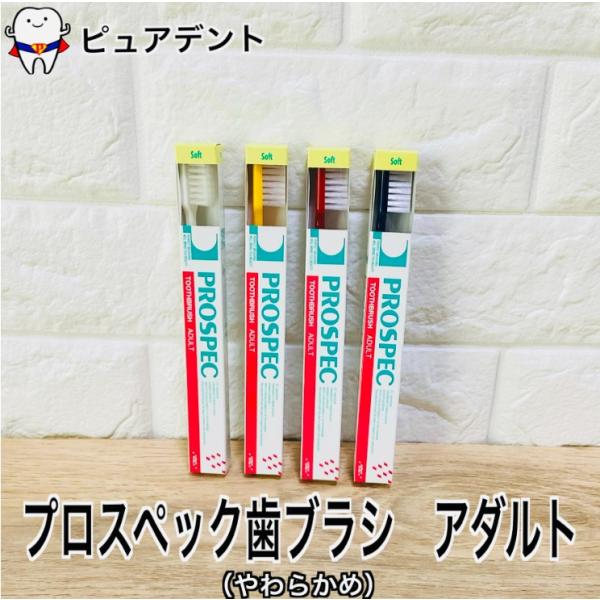 大人に最適な大きさで、口腔内のあらゆる部位が効率よくみがけます。