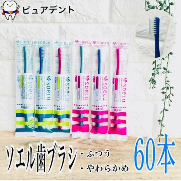 「使いやすさ」を追求した新しいラインナップ　ソエル「ソエル」の商品は、 利用者のデータをもとに多くの人に支持される形状や質感を追求し、開発されたラインナップ。「手を添える」ように優しくサポートし使う人の生活に新しい「彩を添える」。そんな思い...