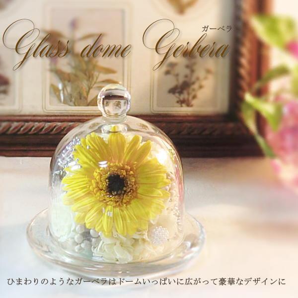 ※花器　　　ガラスドーム※サイズ　　幅　約12.3ｃｍ　　高さ　約12ｃｍ　　奥行き　約12ｃｍ※使用花材　バラ、ガーベラ、アジサイ、カスミソウ、ペッパーベリー、ソーラーローズ※専用箱に入れラッピングします。☆ご用途☆ 誕生日・お祝い・プレ...