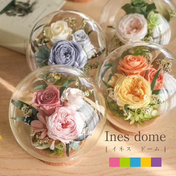 コロンとしたフォルムが魅力のイングリッシュローズを中心に、ナチュラルで落ち着いた色調の花材を組み合わせた丸いガラスドームアレンジ。甘くなりすぎない、少し渋めの色合いは、年齢やシーンを選ばず贈りやすいのが魅力。ガラスドーム入りのため、ホコリを...