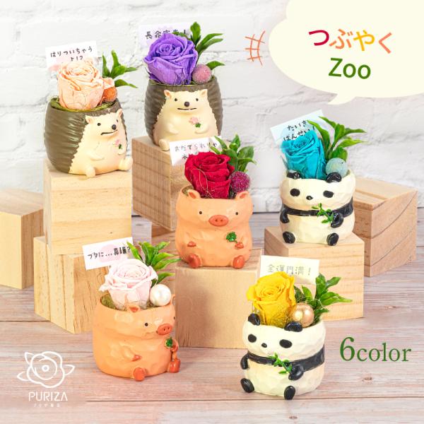 ぼそっとつぶやいてしまった動物たち動物たちが、ぼそっとつぶやいてしまったメッセージ内容です。-------------------------------------------------------ブタ　レッド　　　　　　おだてられりゃ...