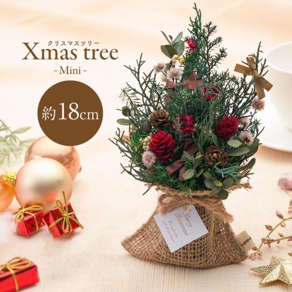 木の部分を2種類のグリーンで表現したかわいらしいサイズのクリスマスツリー。場所を取らないサイズなので、デスクや玄関に気軽に飾っていただけます。◆サイズ：　約高さ18cm×幅11cm×奥行9cm◆花材：＜プリザーブドグリーン＞ヒムロスギ・ブル...