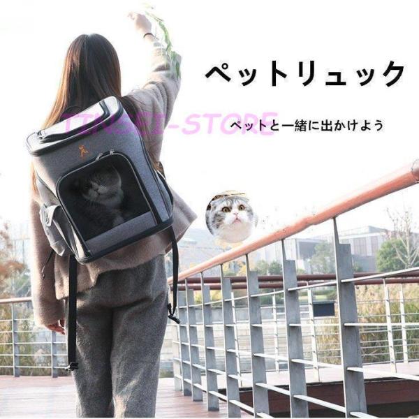 ＜素材＞ポリエステル＜サイズ＞30*26*40ＣＭ＜耐荷重＞6ＫＧ＜製造国＞中国※ご注意:※PC環境 や光の具合により、色や素材のイメージが写真と若干異なる場合がございます。※モデル写真に使用されているアクセサリーと小物は別途記載が無い限り...