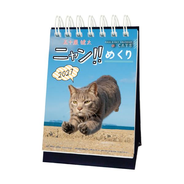 ※こちらの商品は2026年9月発送予定の予約販売商品です。他の商品と一緒にご購入・同梱配送ができません。個別に送料が発生します。予めご了承の上、お買い求めください。「飛び猫」でおなじみの写真家、五十嵐健太さんの日めくりカレンダーです。可愛い...