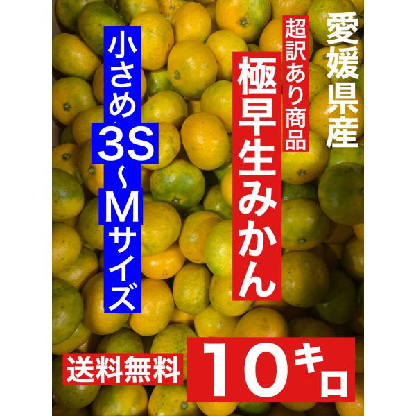 【発売日：2026年10月30日】キーワード：超訳あり　愛媛県産極早生みかん 10キロ　疲労回復　風邪予防 ・ビタミン補給　訳あり　送料無料　3S〜Sサイズ・産地：愛媛県・内容量：10キロ・商品形態：常温・賞味期限：お早めにお召し上がりくだ...