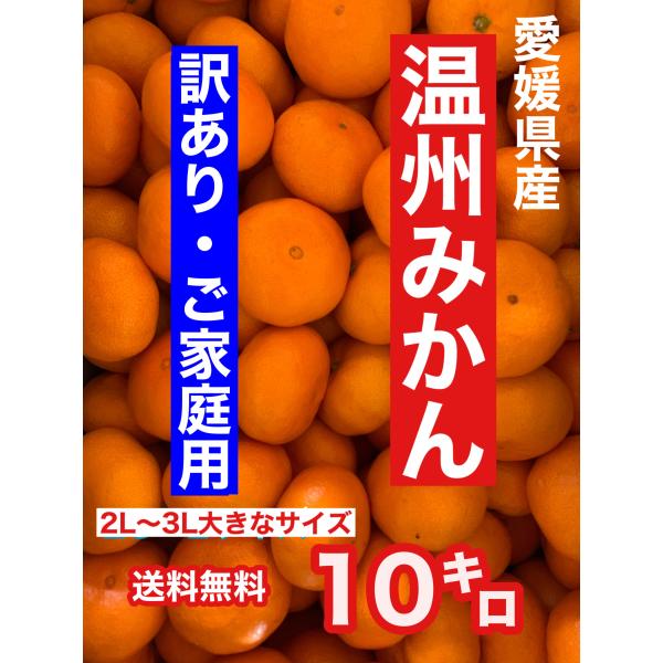 キーワード：限定商品　愛媛県産早生みかん 10キロ　疲労回復　風邪予防 ・ビタミン補給　訳あり　送料無料　大玉サイズ2L〜3L・産地：愛媛県・内容量：10キロ・商品形態：常温・賞味期限：お早めにお召し上がりください・保存方法：直射日光、高温...