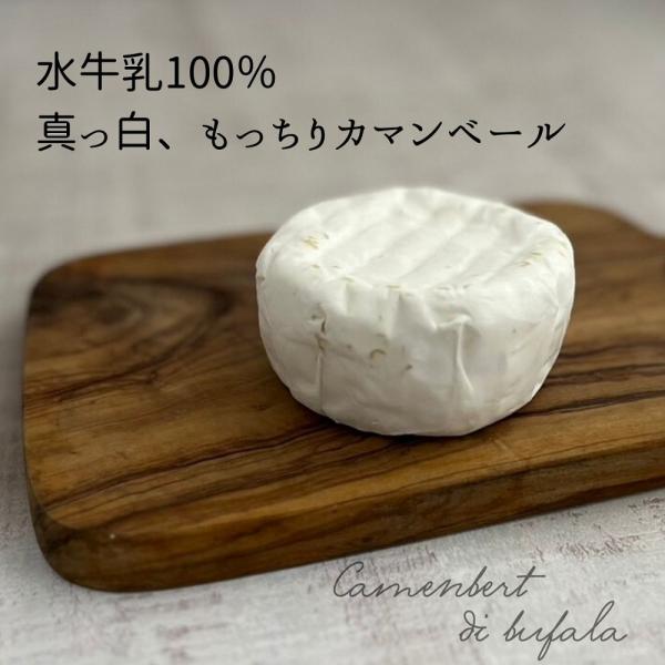 「カマンベール」は、通常、牛のミルクで作られた手のひらサイズの白かびチーズ。こちらのカマンベールは、珍しい水牛のミルク100％！牛乳製カマンベールよりもっちり、しっとり、弾力あり...お口の中でじんわり溶けるミルキーさがあります。ミルキーで...